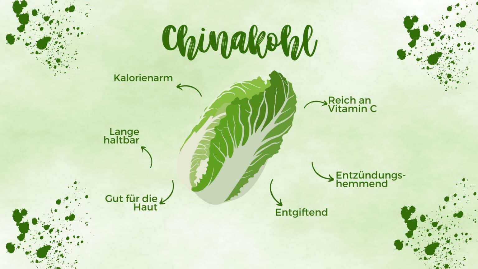 Chinakohl: Geschichte, Zubereitung und Gesundheitsvorteile